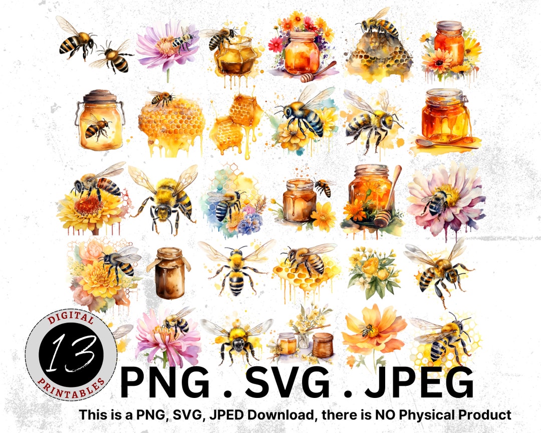 Watercolor Honey Bee Clipart Honey Comb Clipart Digital PNG - Etsy