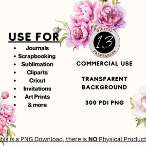 Watercolor Peony Clipart, Floral Clipart, Sublimation Design ...