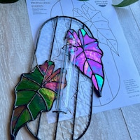 Pothos Stained Glass Propagation Station Pattern: Video Tutorial (PDF ...