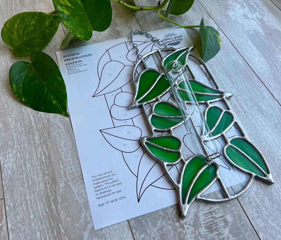 Pothos Stained Glass Propagation Station Pattern: Video Tutorial (PDF ...