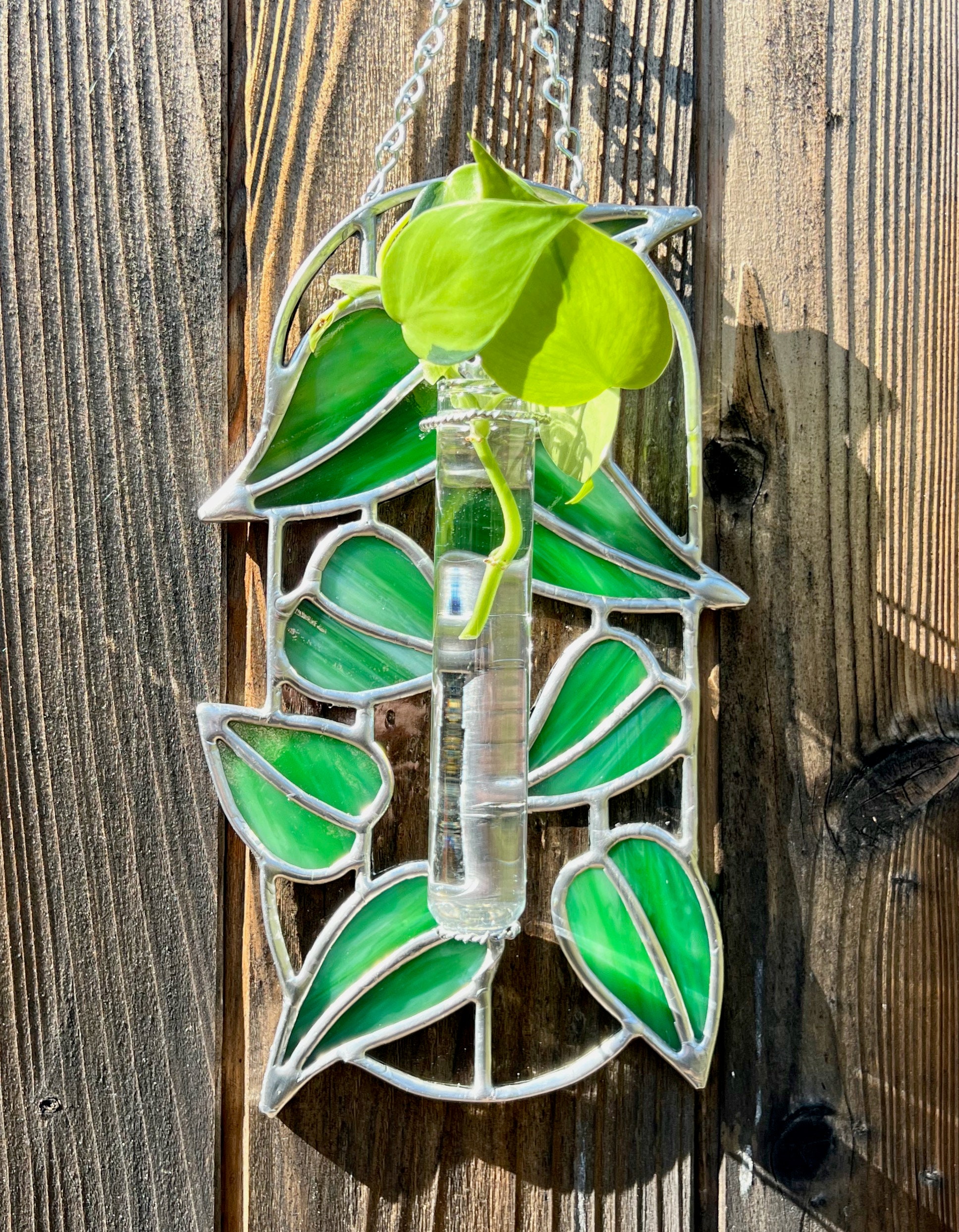 Pothos Stained Glass Propagation Station Pattern: Video Tutorial (PDF ...