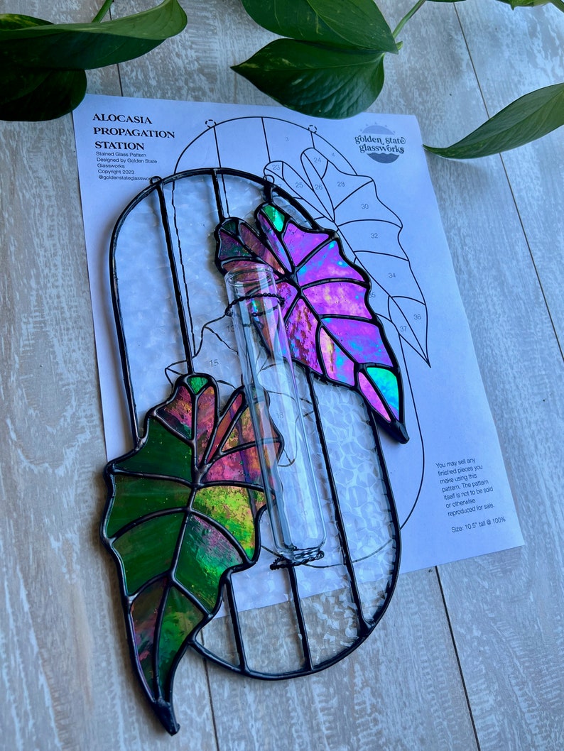 Alocasia Stained Glass Propagation Station Pattern (digital Download ...