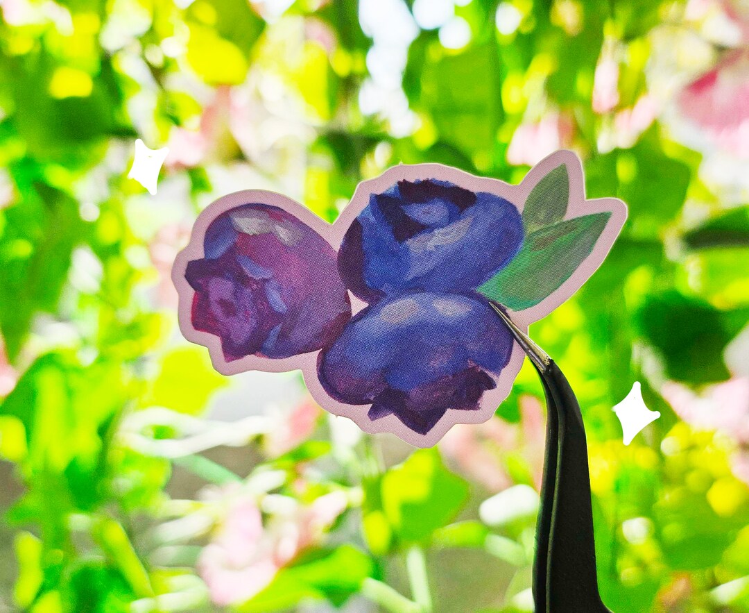 Tiny Blueberries - Vinyl Matte Sticker - Etsy