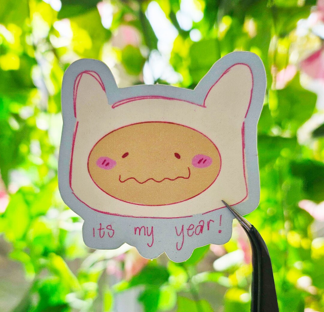 Finn 'its My Year!' - Vinyl Matte Sticker - Etsy