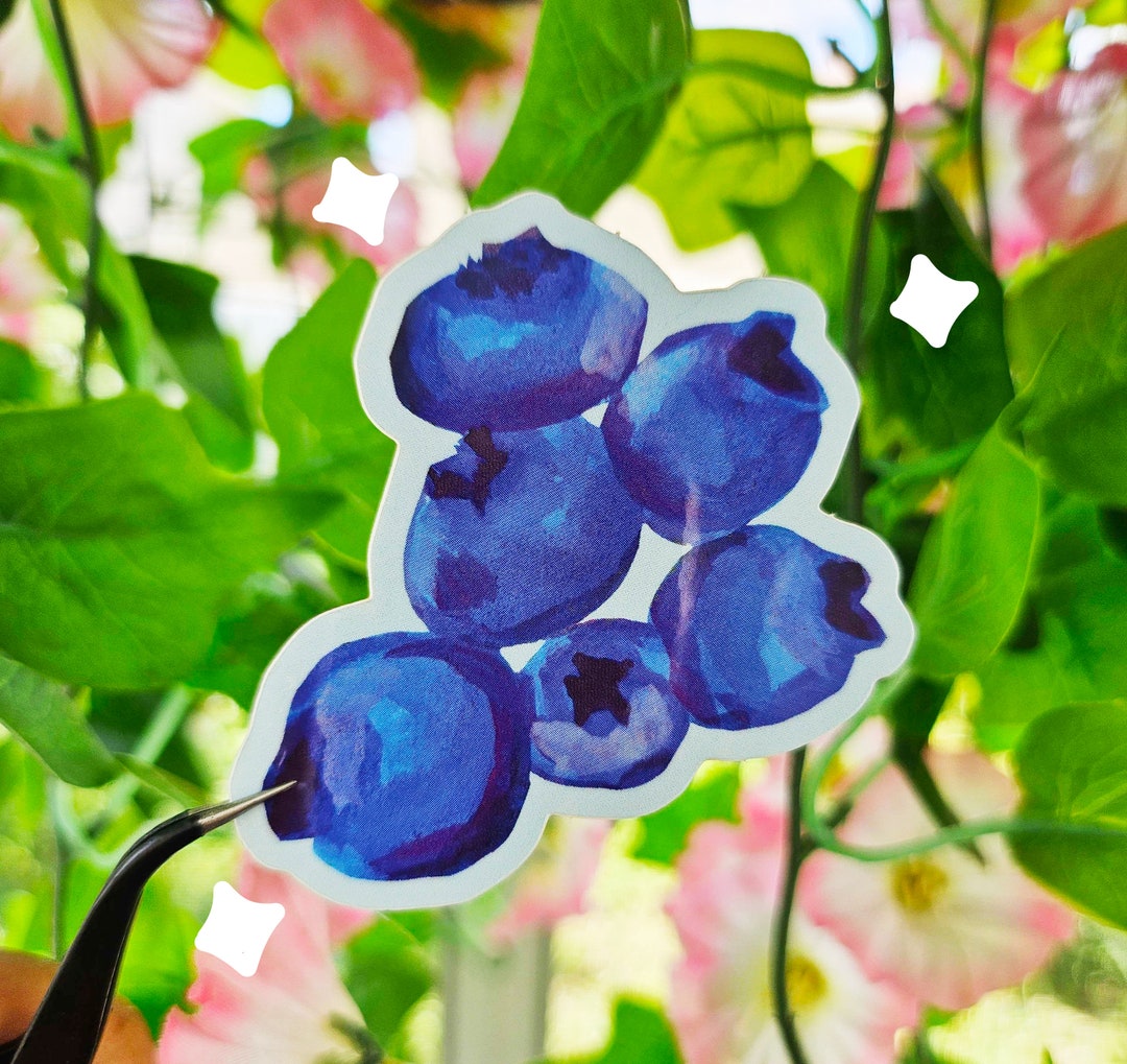 Blueberry Cluster - Vinyl Glossy Sticker - Etsy