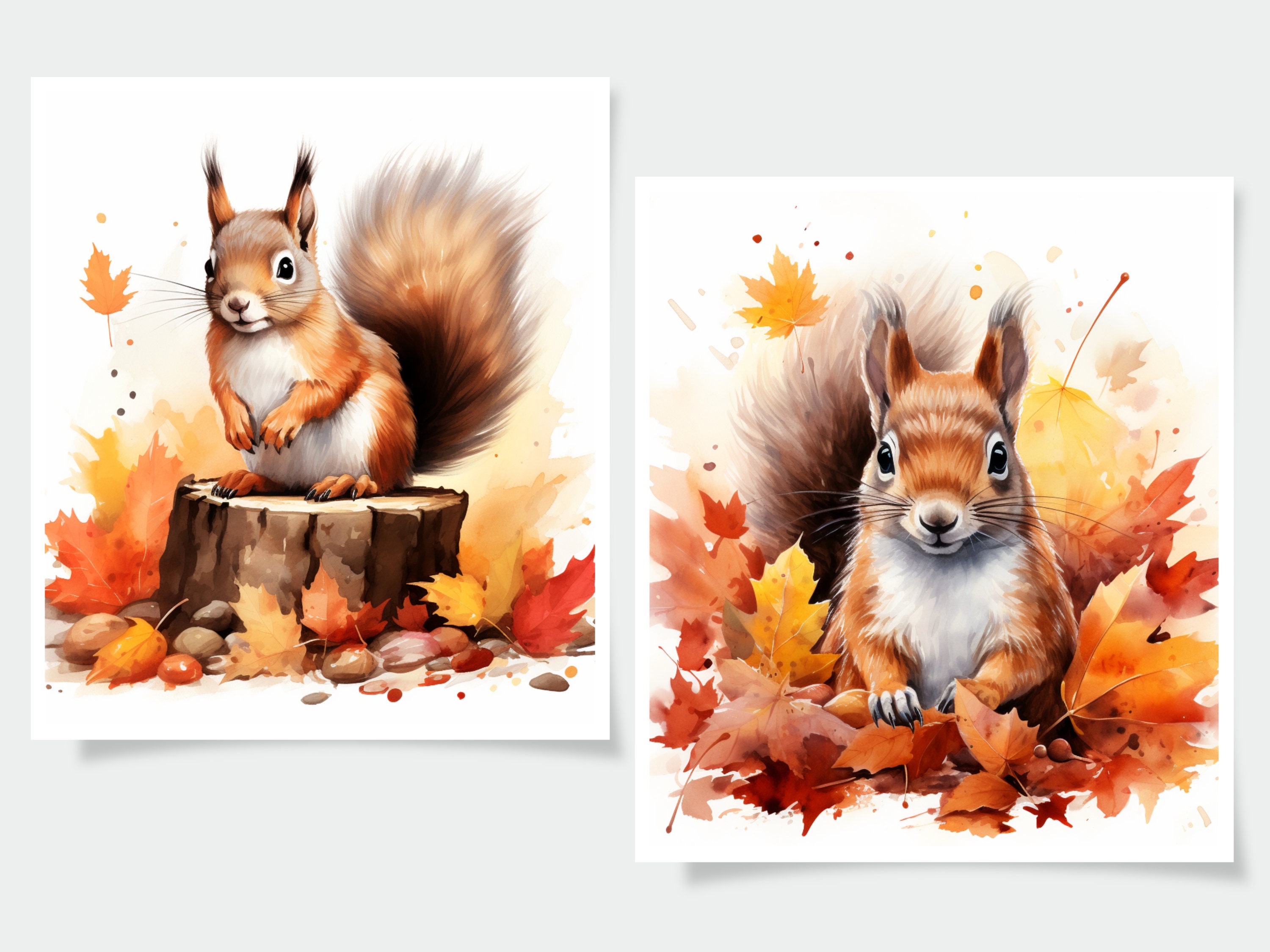 Watercolor Fall Squirrel Clipart - 14 Jpgs Autumn Leaves Cute Woodland ...