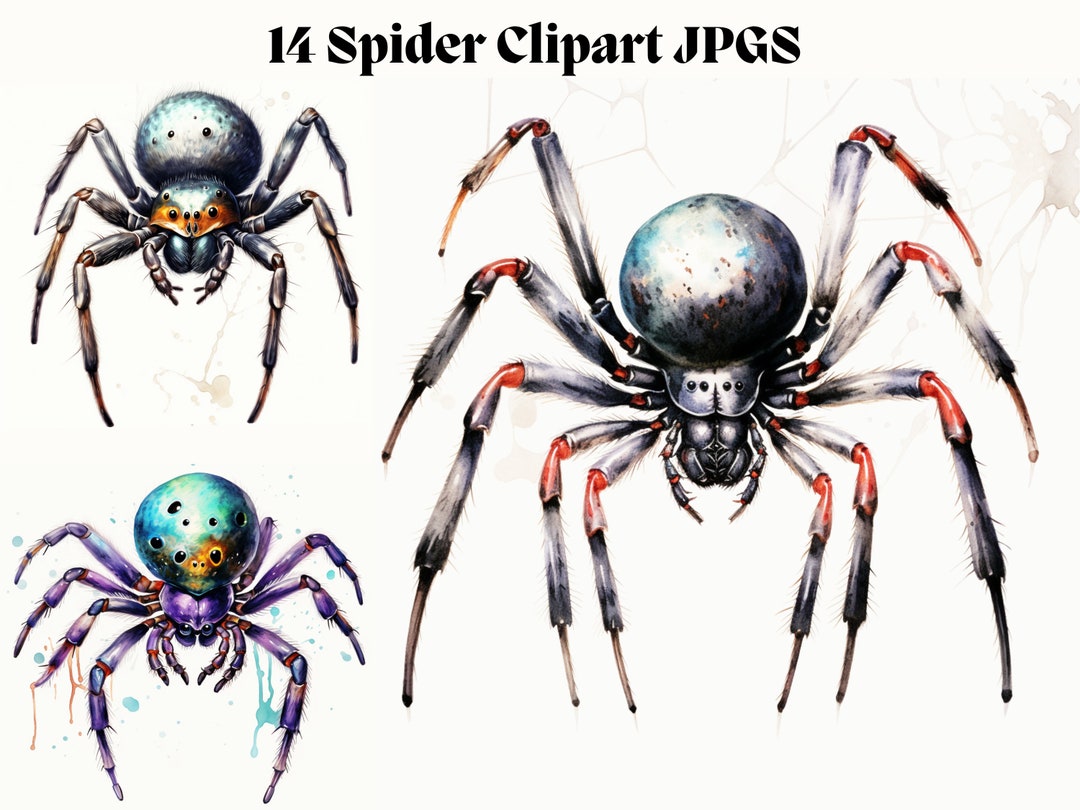 Watercolor Spider Clipart Cute Halloween Spooky Season Fall Dark ...