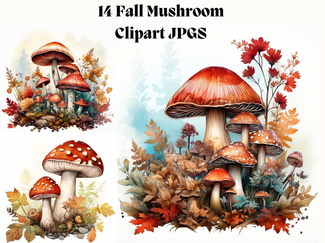 Watercolor Fall Mushroom Clipart - 14 Jpgs Autumn New Boho Earthy ...