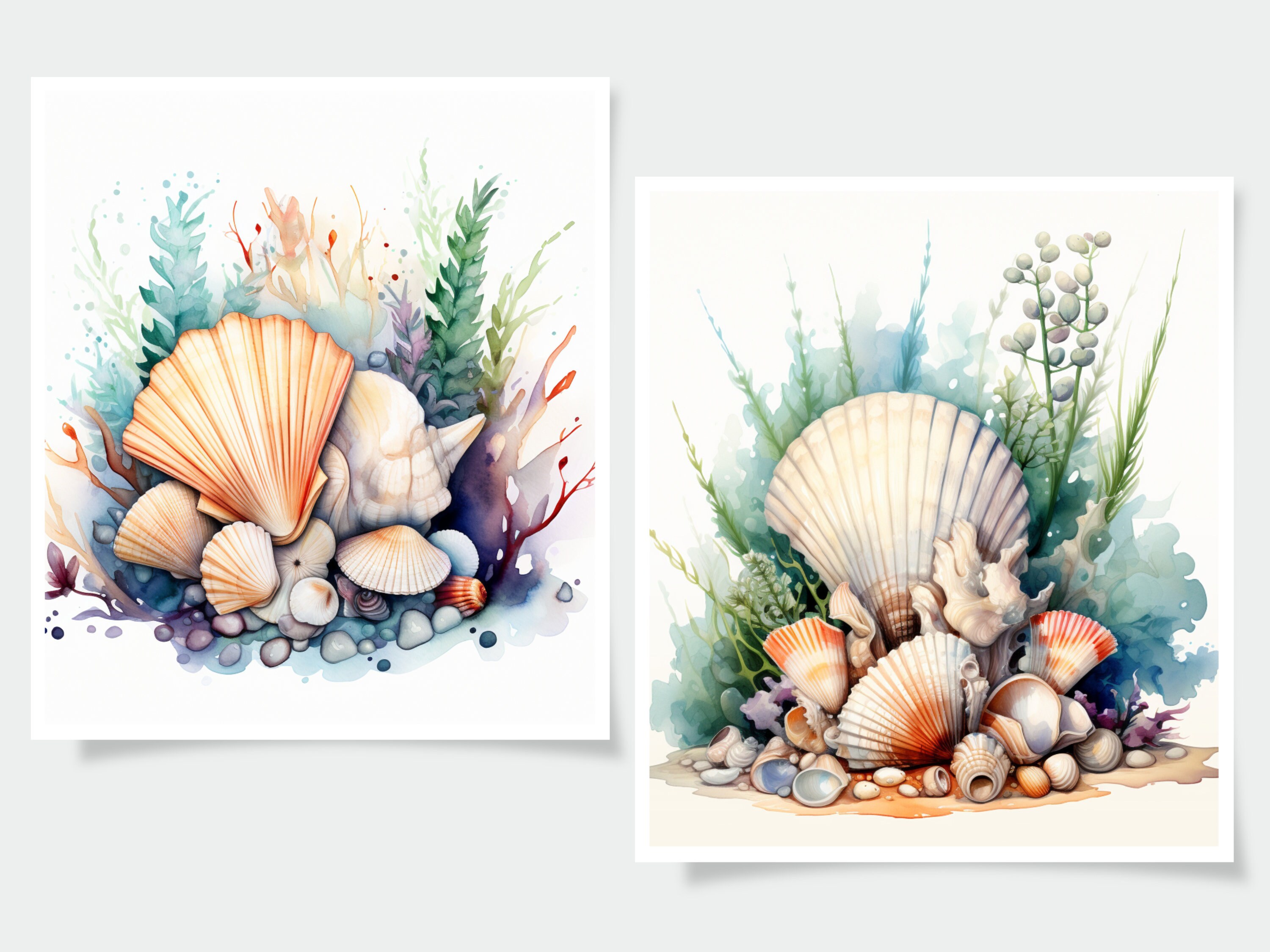 Watercolor Seashell Clipart - 14 High Quality Jpgs - Journal Book ...