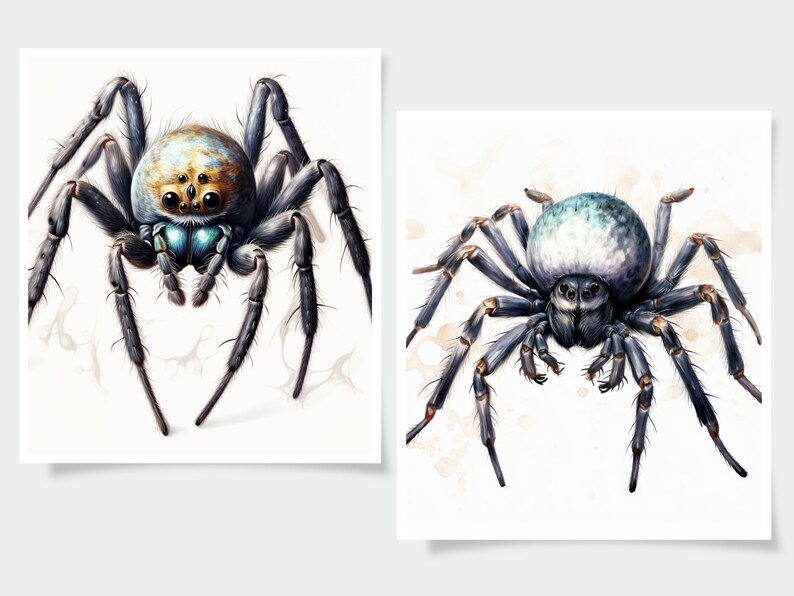 Watercolor Spider Clipart Cute Halloween Spooky Season Fall Dark ...