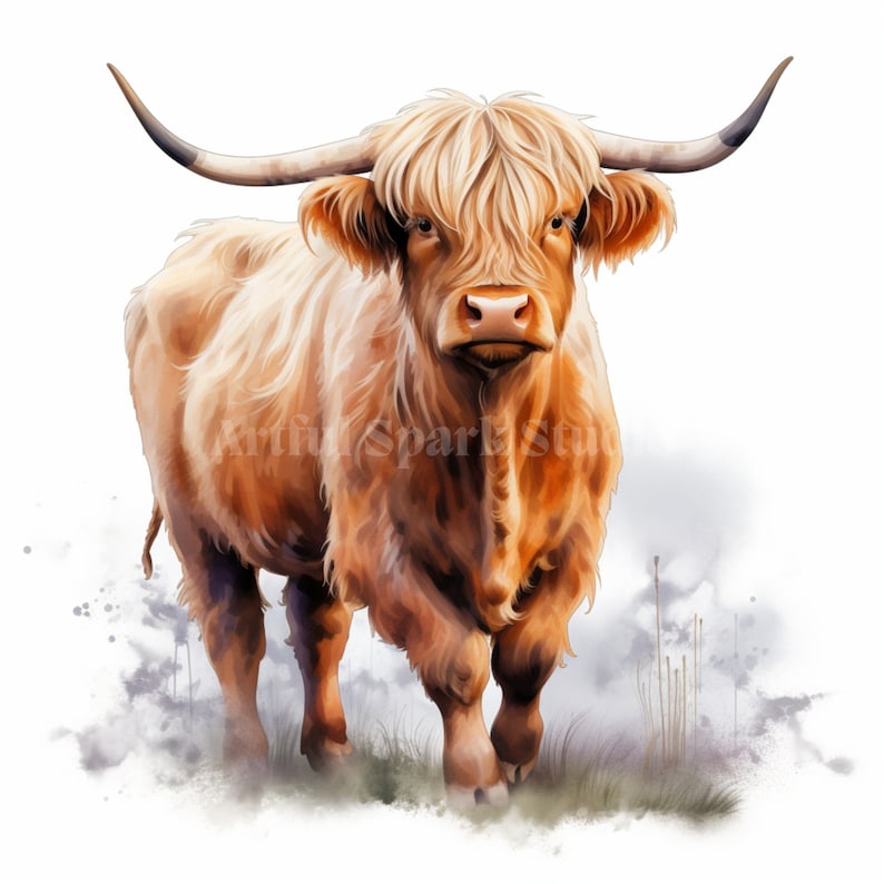 Watercolor Highland Cow Clipart - 12 High Quality Jpgs Digital Download ...