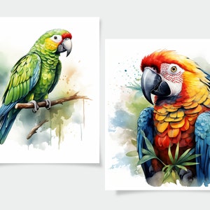 Watercolor Parrot Clipart - 14 Jpgs Watercolor Bird Clipart Cute Exotic ...