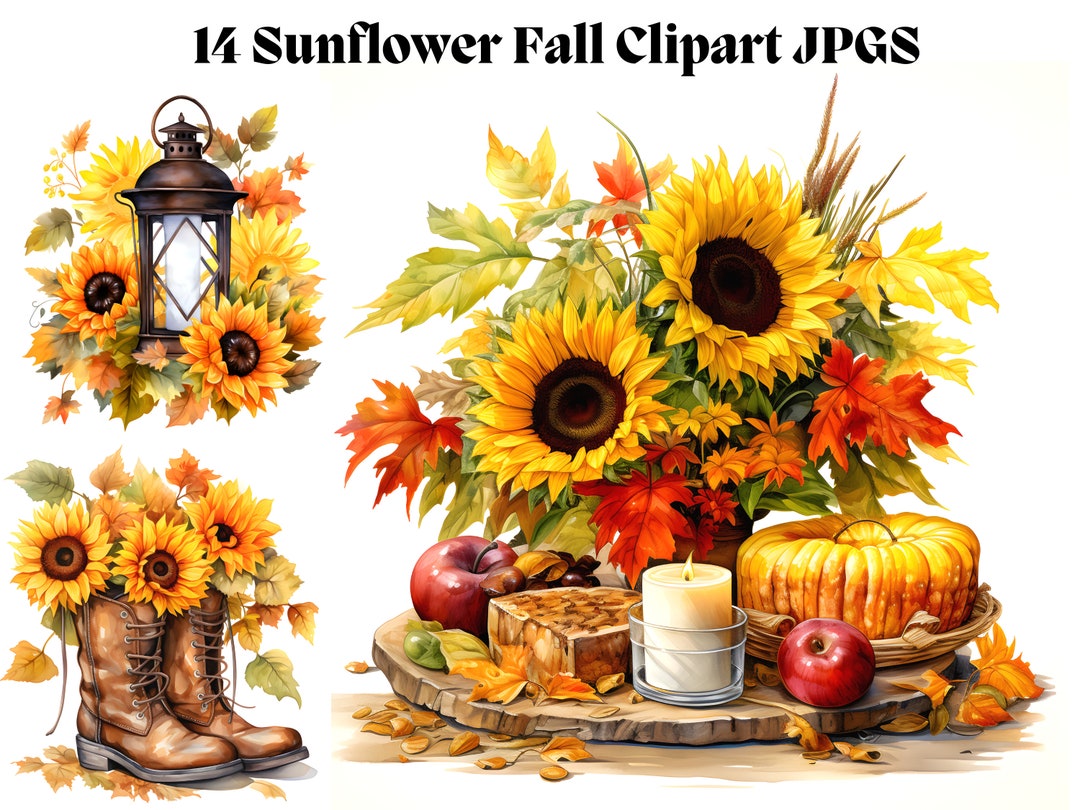 Sunflower Fall Clipart Autumn Items New Boho Earthy Cottagecore ...