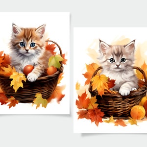 Kitten in Fall Basket Clipart Autumn Kitten Cute Cat Aesthetics ...