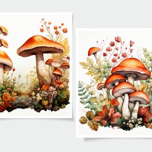 Watercolor Fall Mushroom Clipart - 14 Jpgs Autumn New Boho Earthy ...