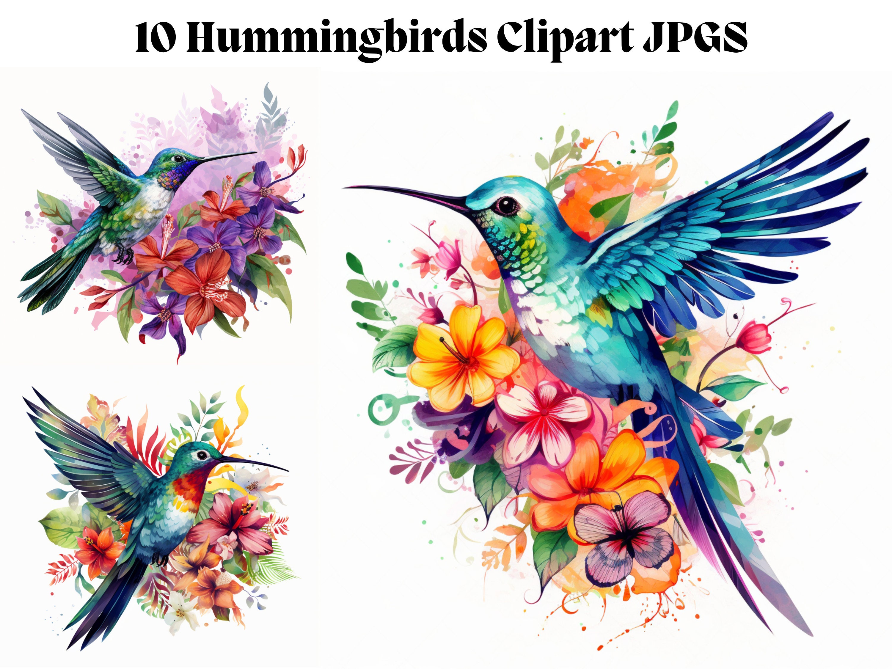Watercolor Hummingbird Clipart 10 High Quality Jpgs Journal Book ...