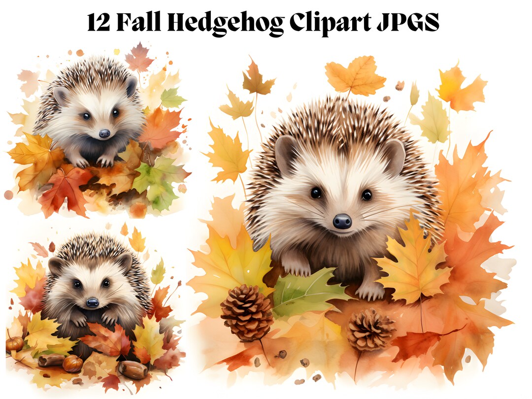 Watercolor Fall Hedgehog Clipart - 12 Jpgs Autumn Leaves Cute Woodland ...