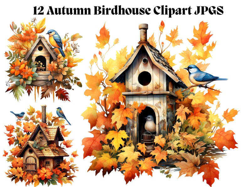 Autumn Birdhouse Clipart Fall Scene Leaves Cute Bird Boho Cottagecore ...