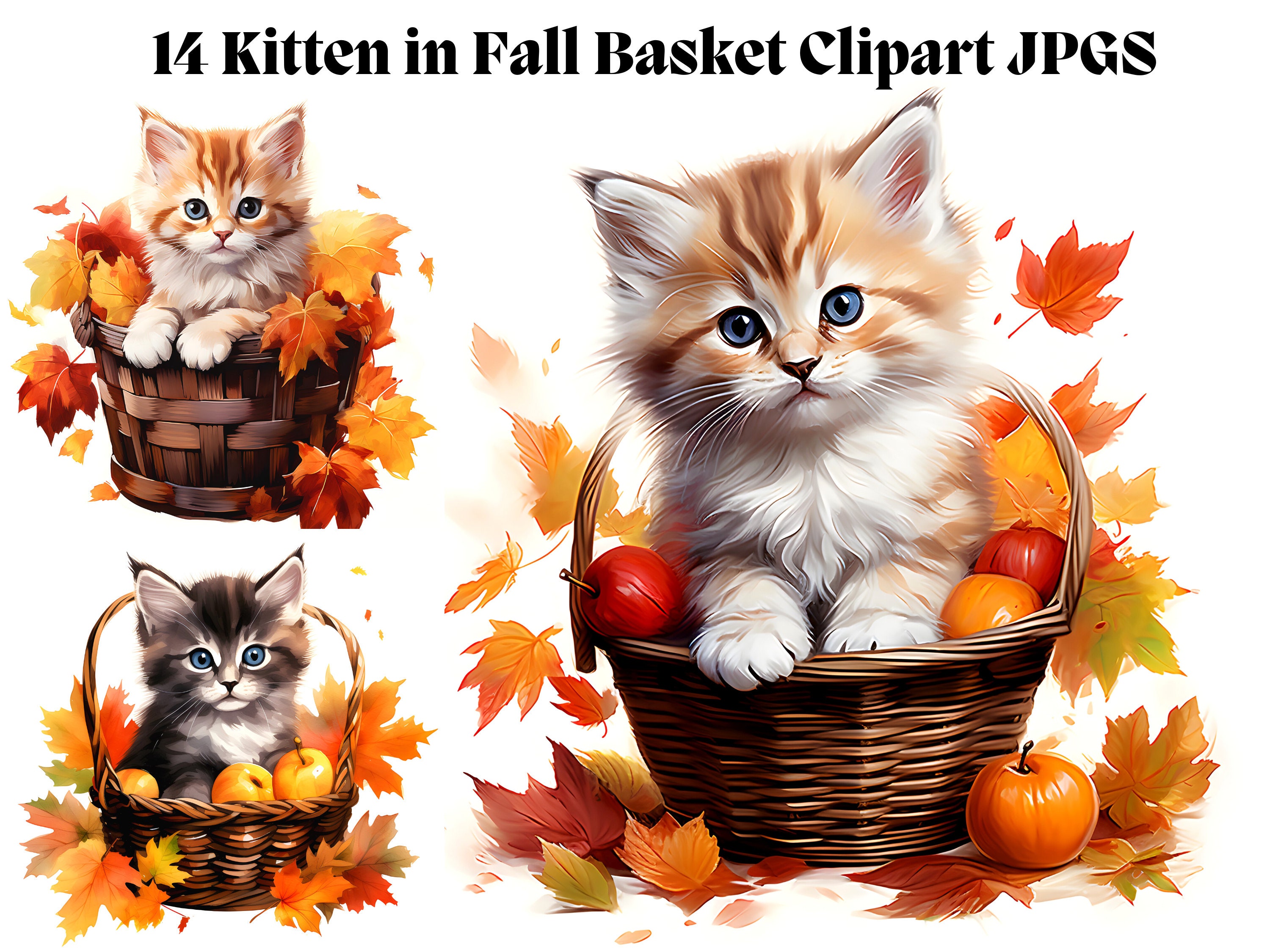 Kitten in Fall Basket Clipart Autumn Kitten Cute Cat Aesthetics ...