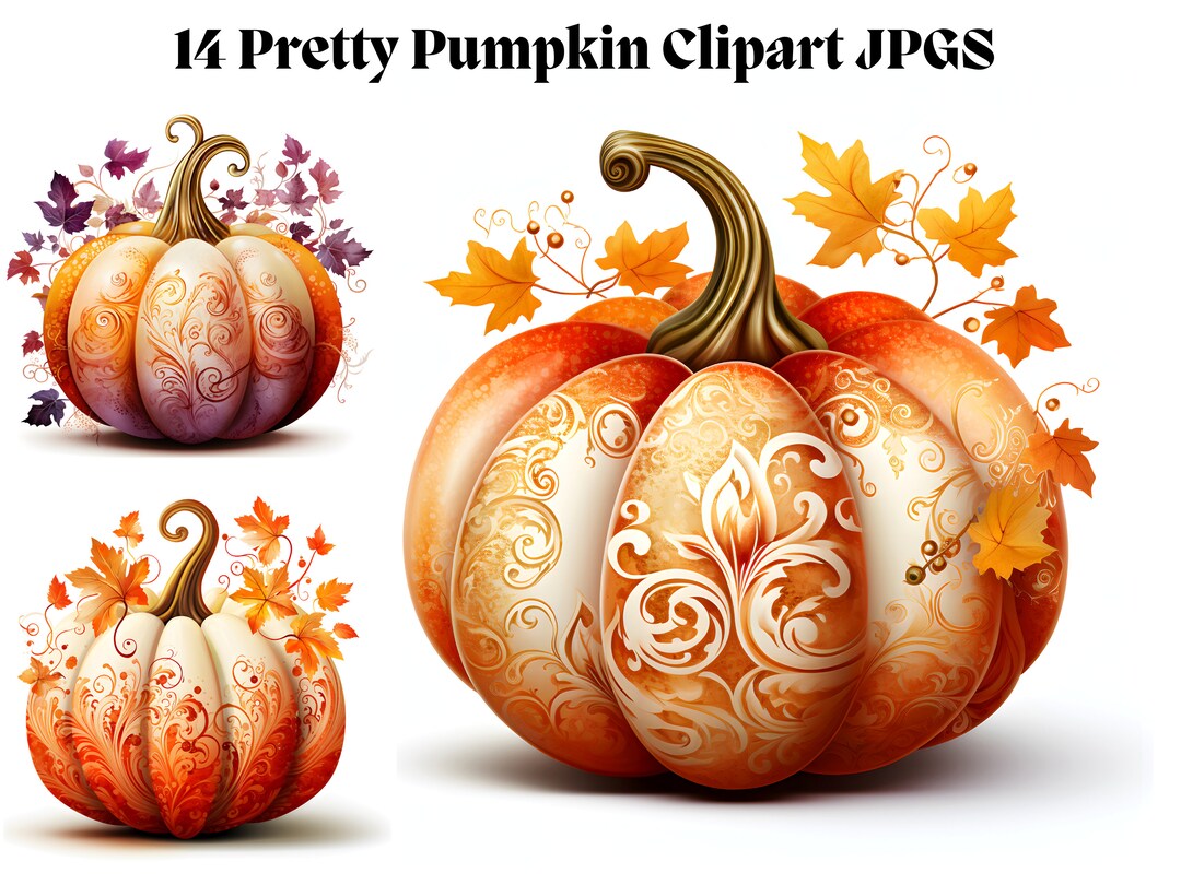 Pretty Pumpkin Clipart Fall New Boho Earthy Autumn Aesthetics ...
