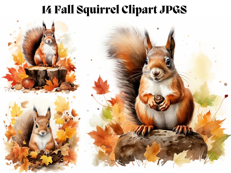 Watercolor Fall Squirrel Clipart - 14 Jpgs Autumn Leaves Cute Woodland ...