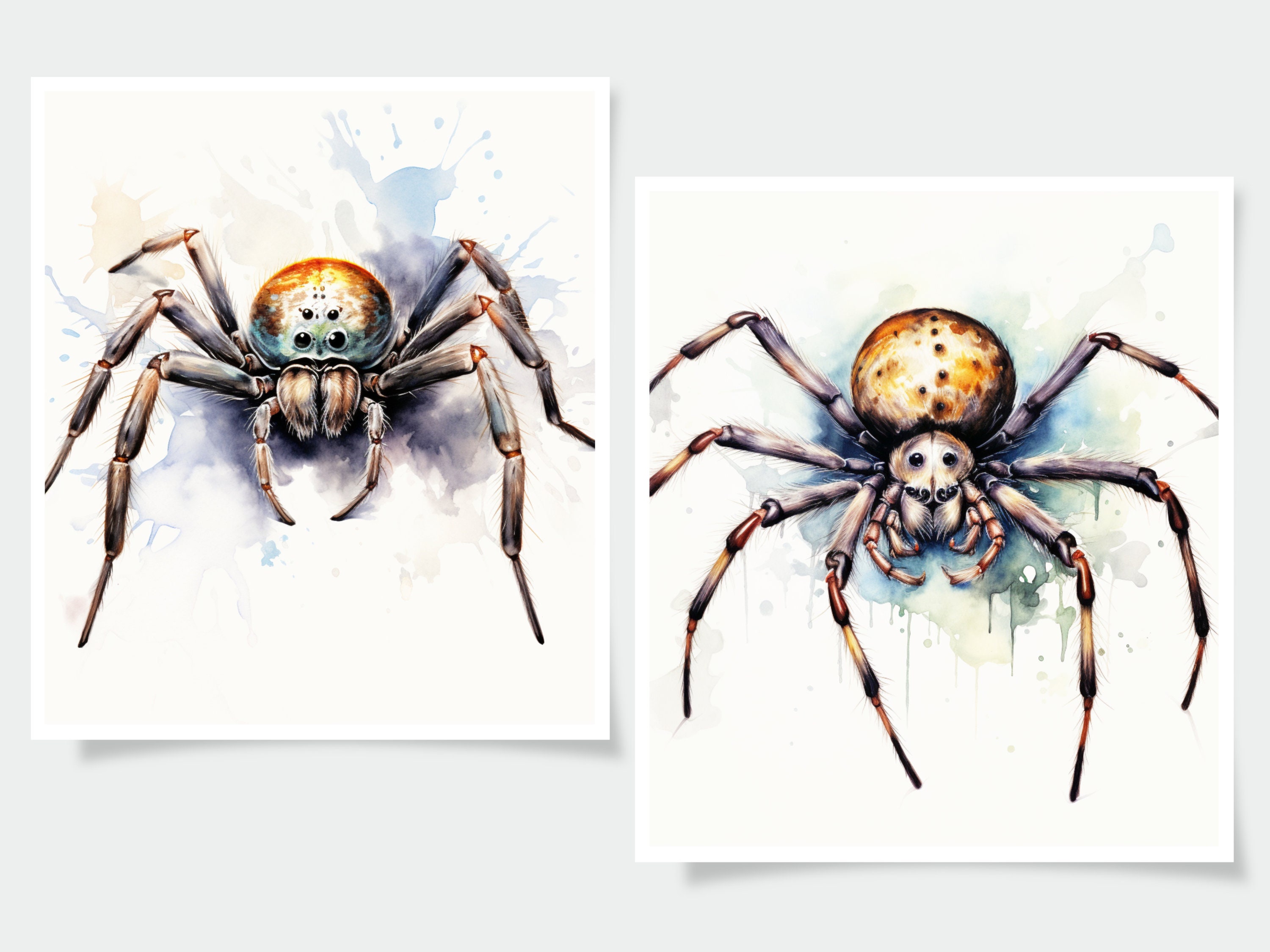 Watercolor Spider Clipart Cute Halloween Spooky Season Fall Dark ...