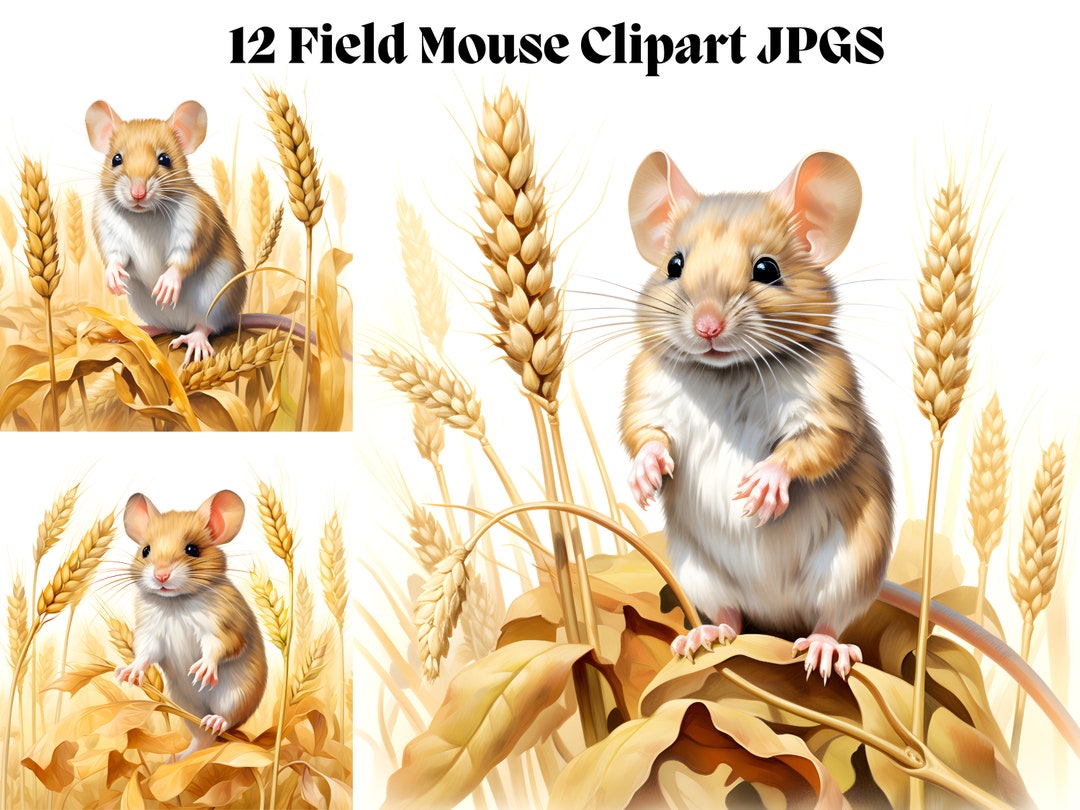 Field Mouse Clipart Fall Scene Cornstalk Wheat Fern Rat Cute Rodent ...