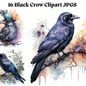 Watercolor Black Magical Crow Clipart Halloween Mysterious Crow Mystic Aesthetics Dark ...