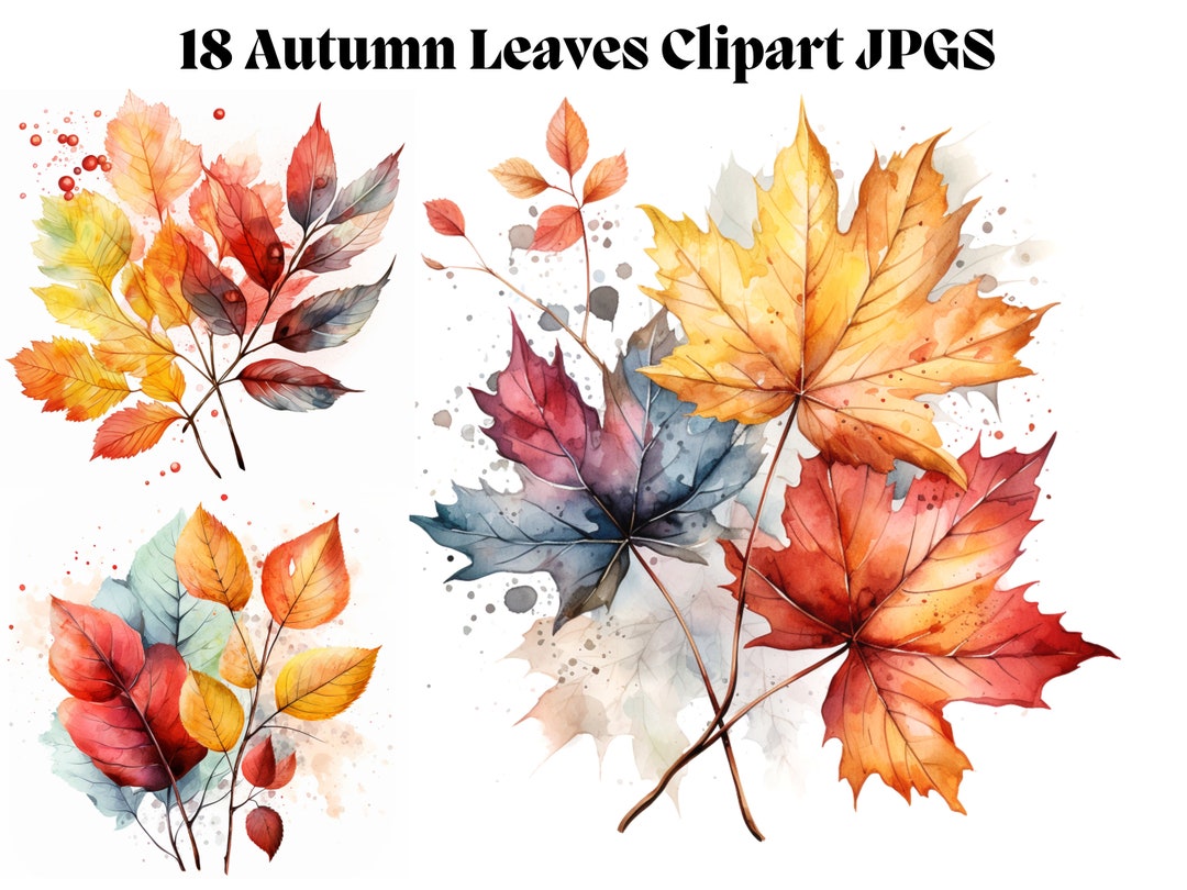 Watercolor Autumn Leaves Clipart 18 Jpgs Fall New Boho Minimalistic ...