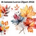Watercolor Autumn Leaves Clipart 18 Jpgs Fall New Boho Minimalistic ...