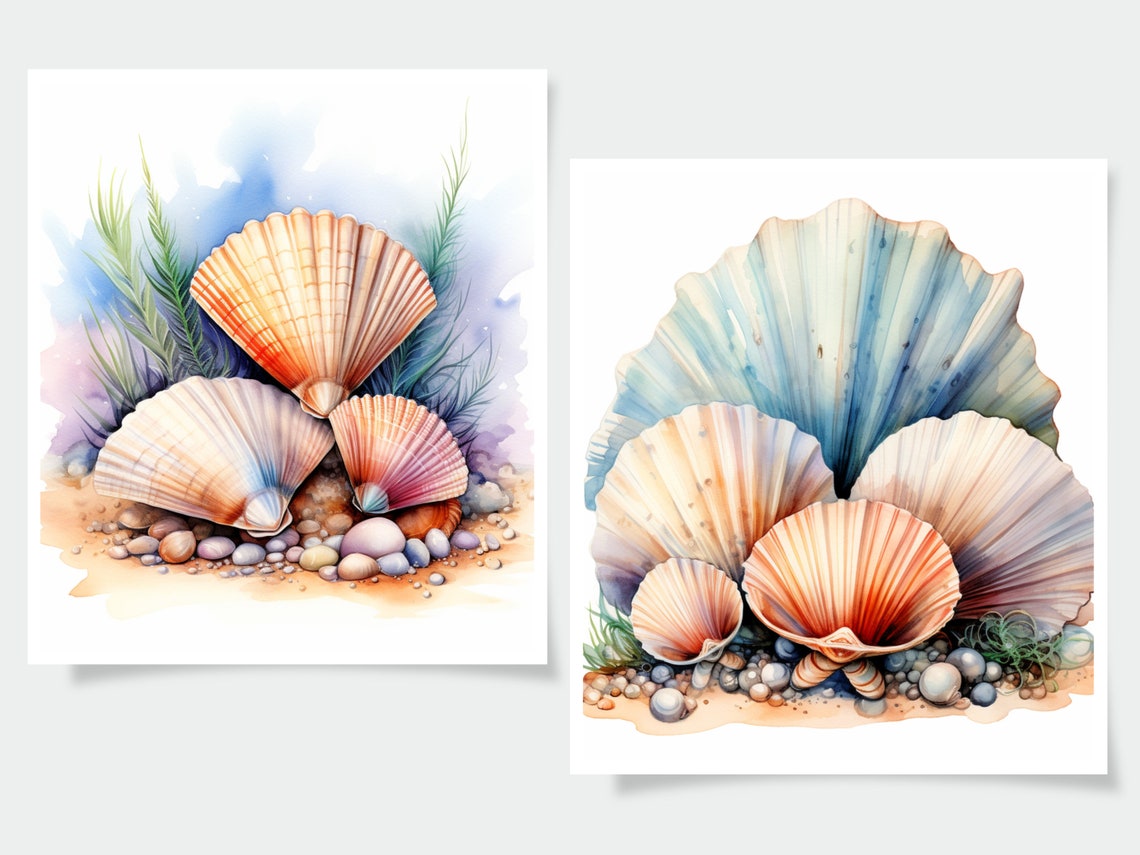 Watercolor Seashell Clipart 14 High Quality Jpgs Journal Book ...