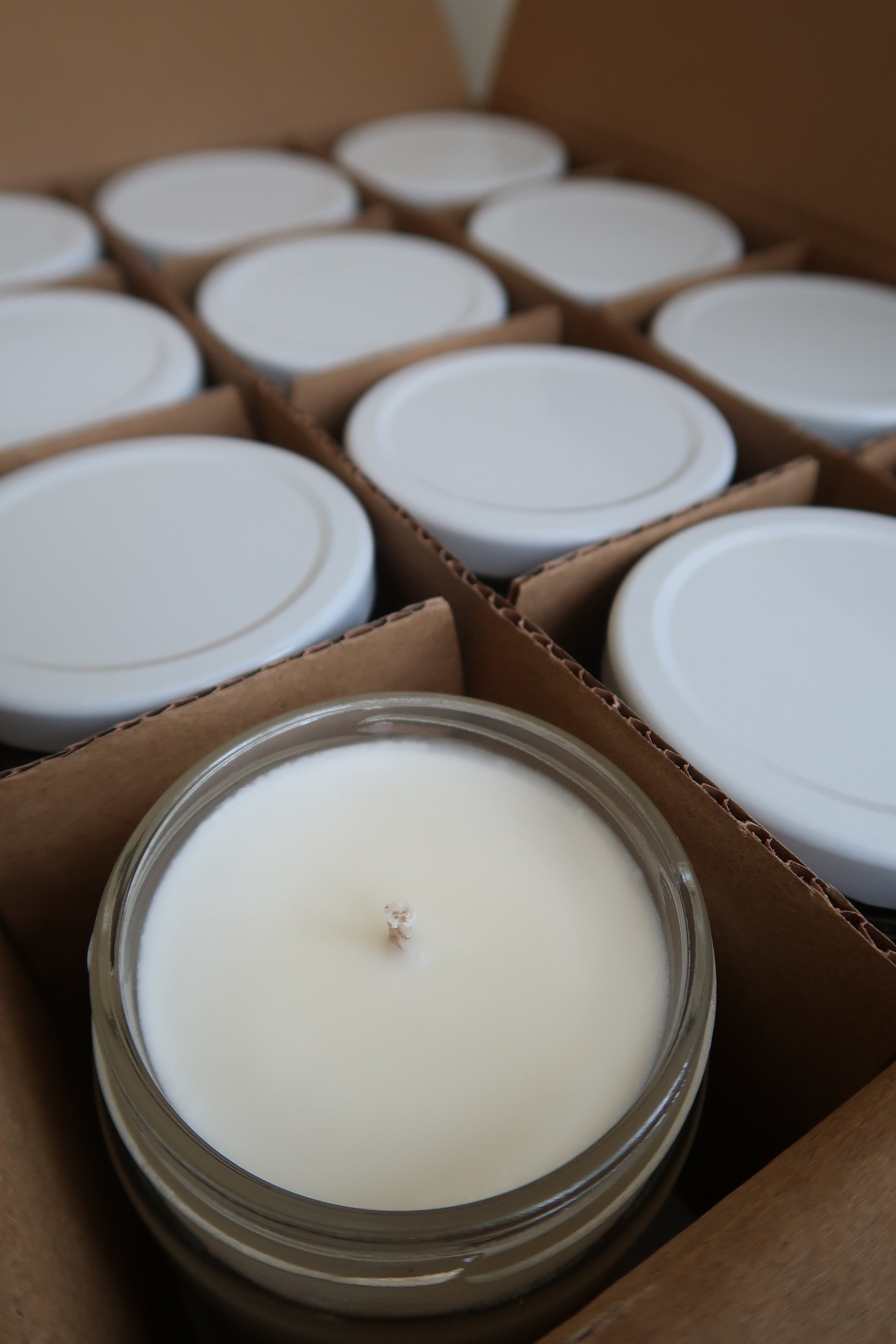 Wholesale Candles (fruity,floral,luxe,woody), 8.5oz Net, Case of 12 ...