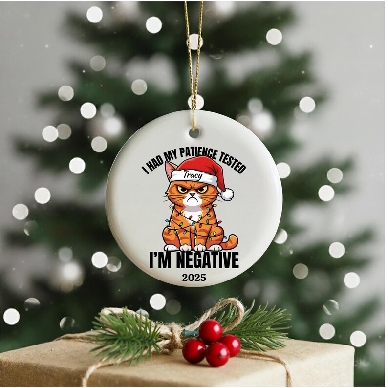 Funny Grumpy Cat Christmas Ornament -“I Had My Patience Tested – I’m ...
