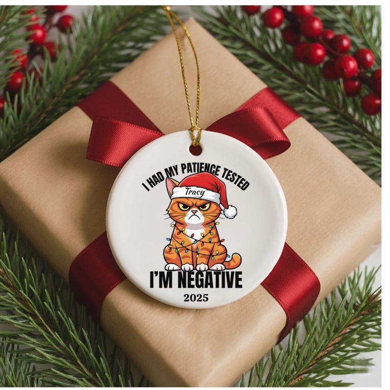 Funny Grumpy Cat Christmas Ornament -“I Had My Patience Tested – I’m ...