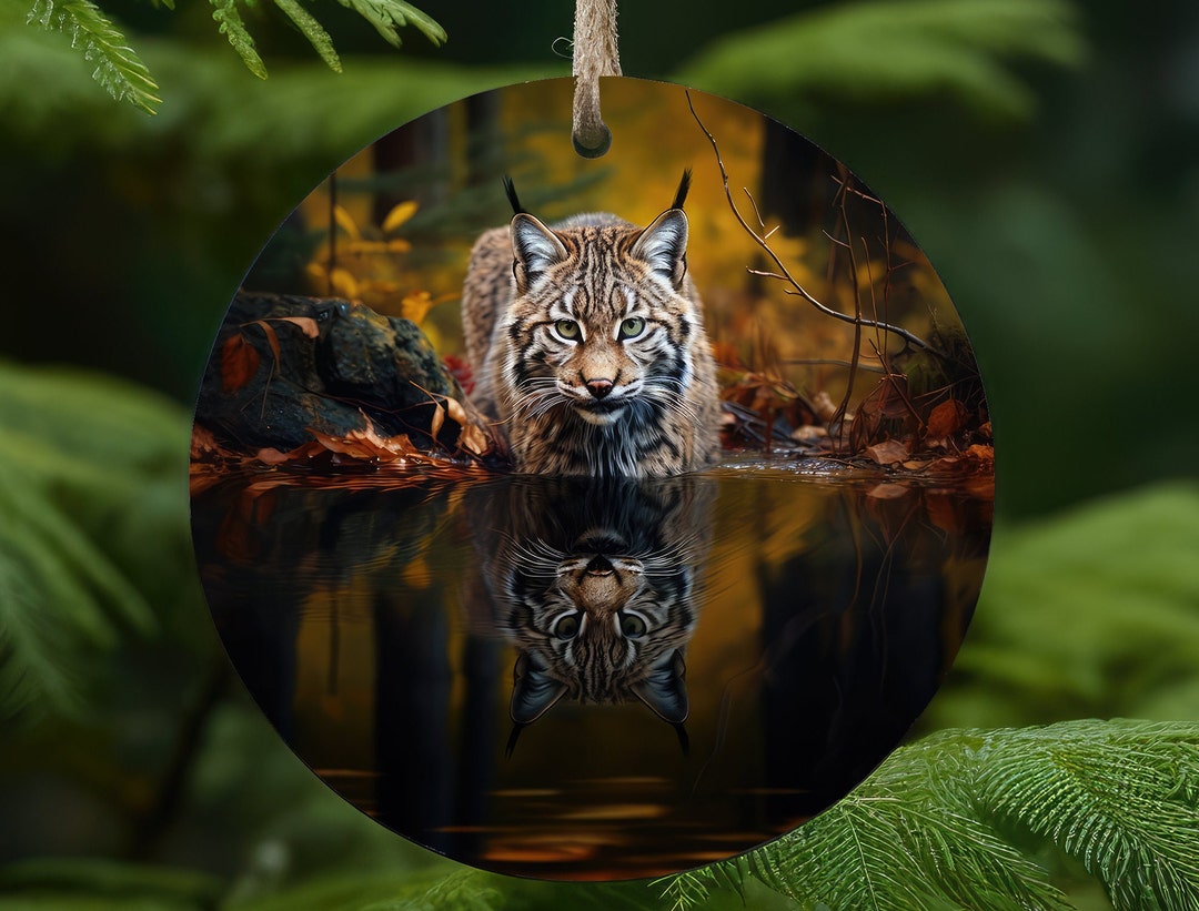 Bobcat With Reflection in a Lake, Christmas Round Ornament - Instant ...