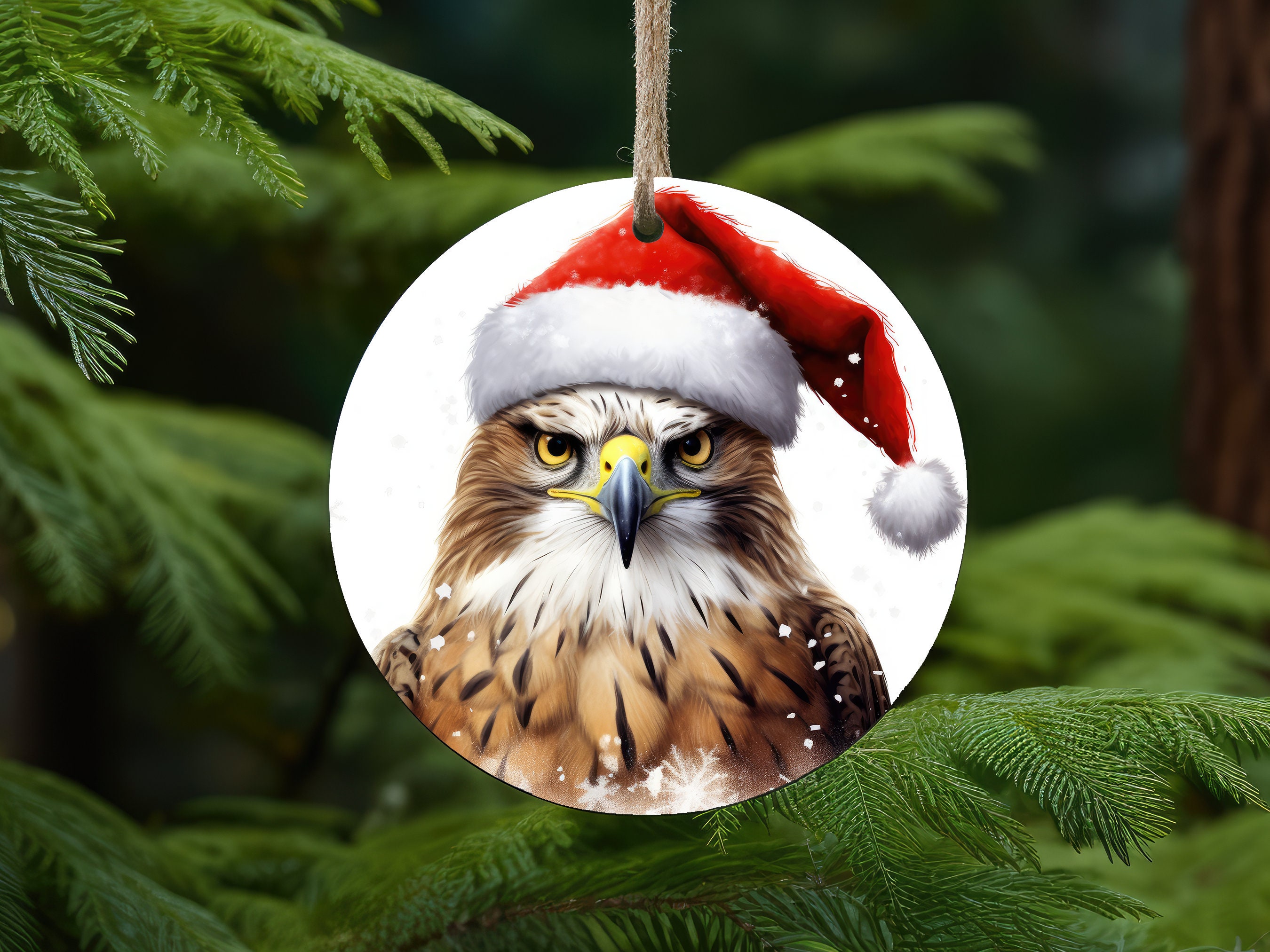 Red Tailed Hawk Wearing a Santa Hat Christmas Ornament - Etsy