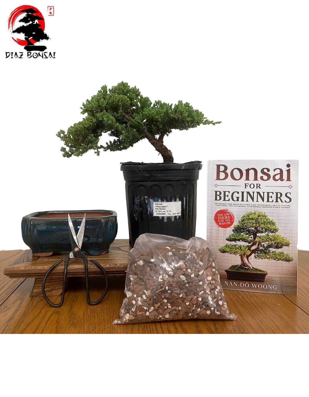 Bonsai Beginner Kit, Bonsai Kit for Beginners, Bonsai Kit, Bonsai Tree ...