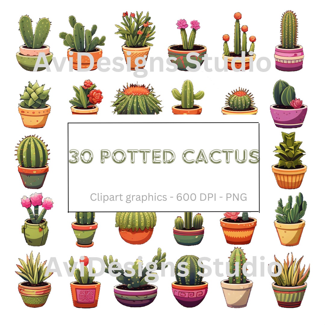 30 Cactus Clipart|houseplant Png|potted Cacti Clip Art|succulents Clip ...