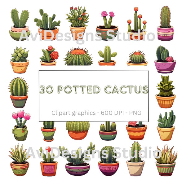 Potted Cactus Plant - Etsy