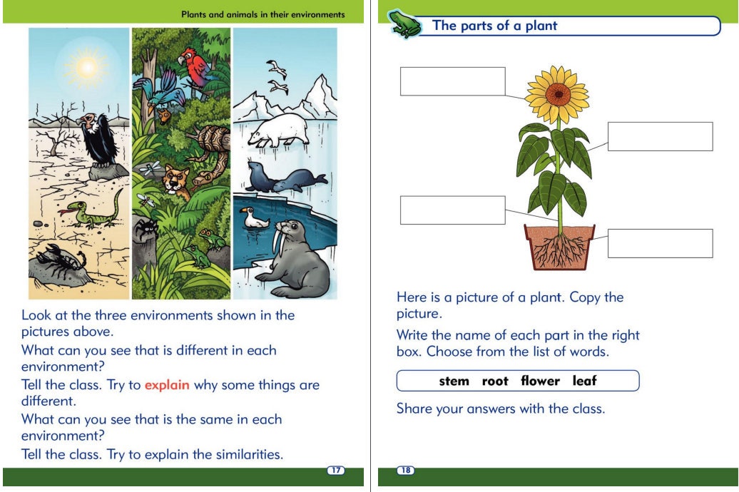 Primary Science Workbooks (grade 1-6), Printable Science Worksheets ...