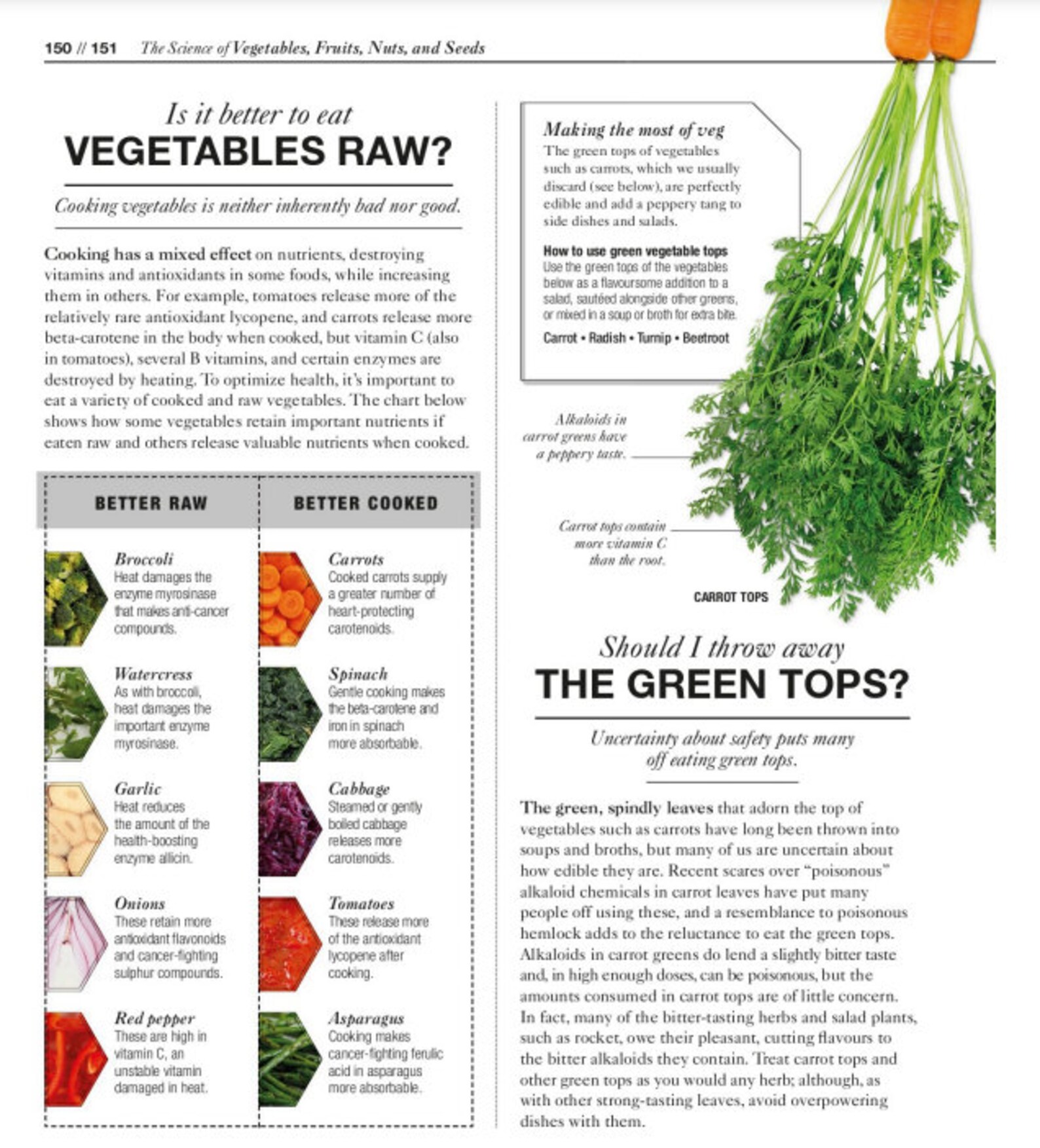 Science of Cooking & Spice Books, Homeschool Printable Resource (PDF ...