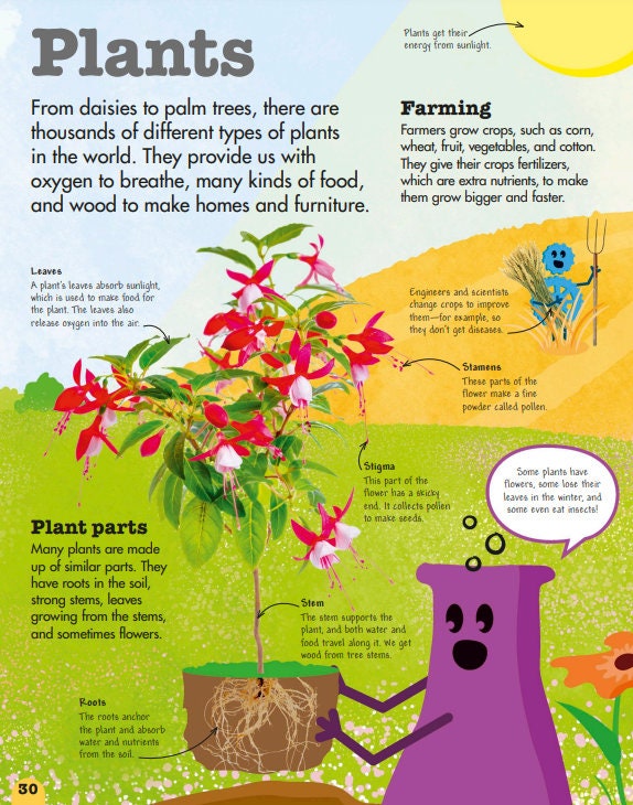 Junior Maker, STEM Art Projects, Art Ideas, Art and Craft for Kids ...