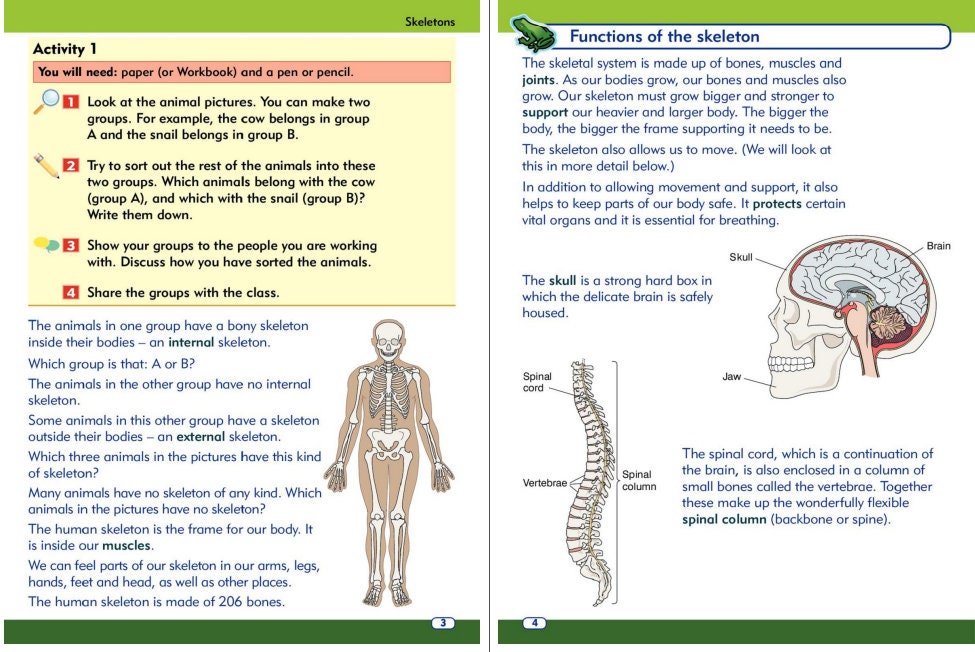 Primary Science Workbooks (grade 1-6), Printable Science Worksheets ...