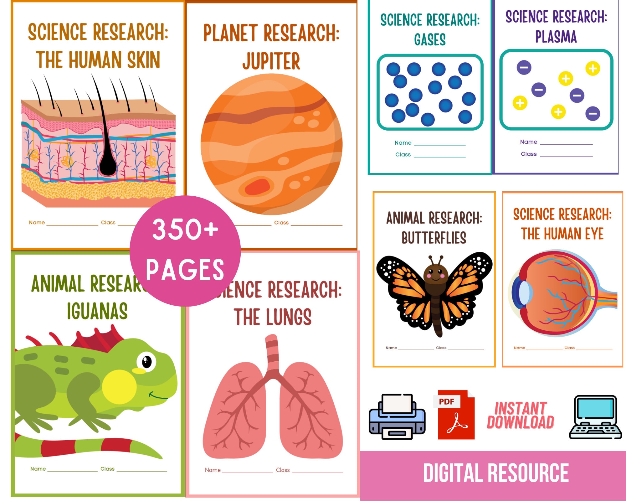 Hojas De Trabajo Para Ciencias Libro De Actividades Para Quienes