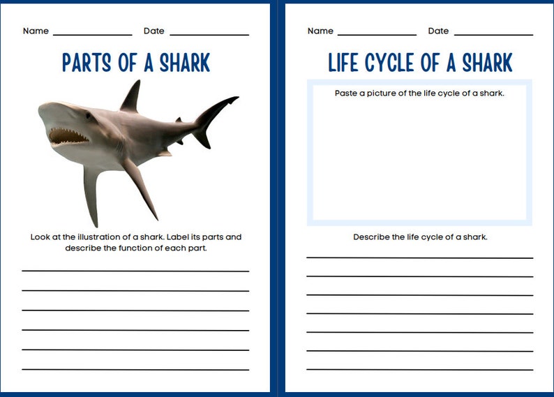 Science Worksheets for Kids Homeschool Worksheets Science Research ...