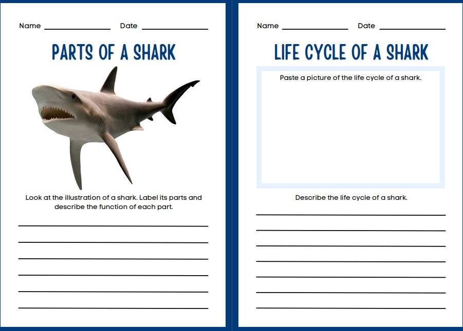 Science Worksheets for Kids Homeschool Worksheets Science Research ...