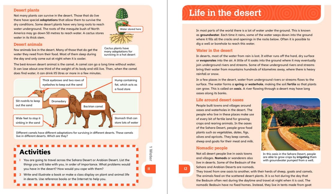 Primary Geography Workbook Bundle, Engaging Ebook, Printable Geography ...