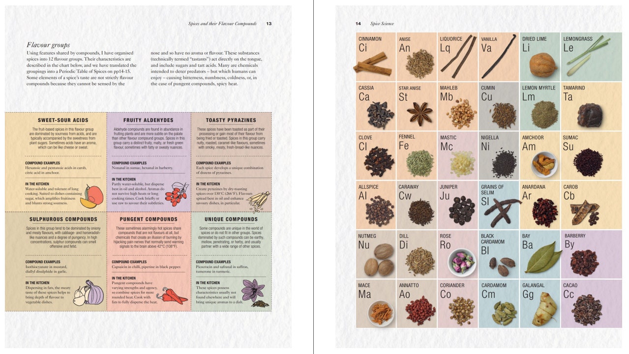 Science of Cooking & Spice Books, Homeschool Printable Resource (PDF ...