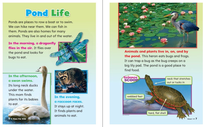 TIME Magazine for Kids, Stories for Young Reader Books Learning English ...
