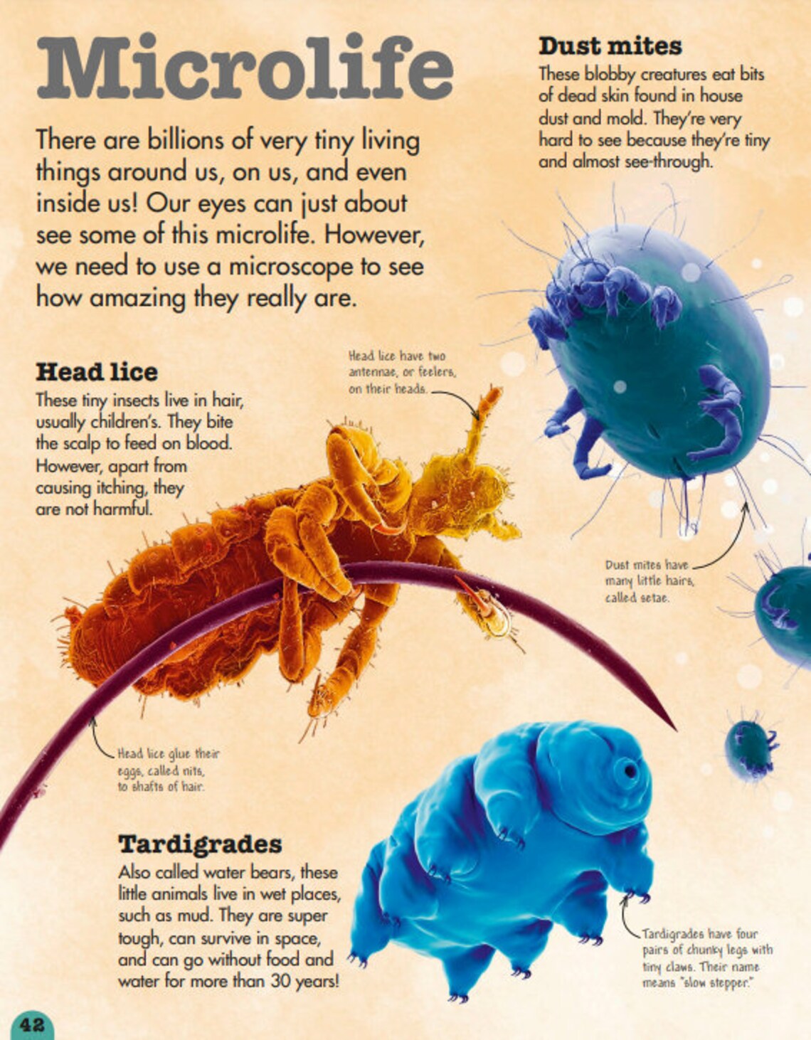 Junior Maker, STEM Art Projects, Art Ideas, Art and Craft for Kids ...